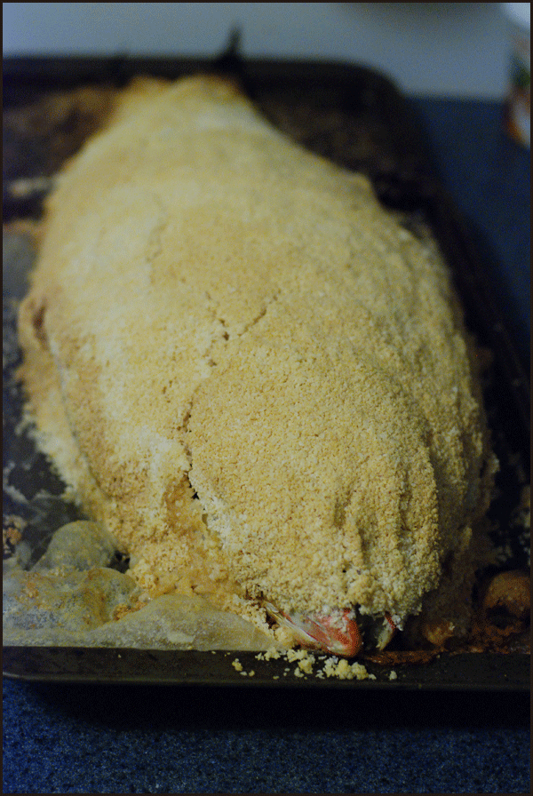 Whole Fish Roasted in Salt Crust